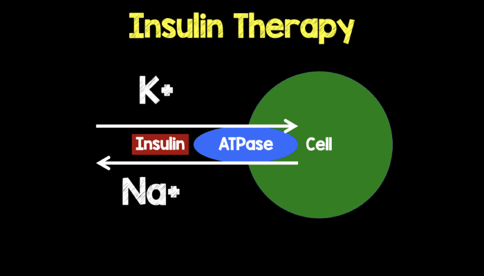 Diabetic Ketoacidosis (DKA) Myths - REBEL EM - Emergency Medicine Blog