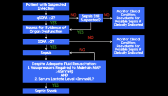 Operationalization of New Sepsis and Septic Shock Criteria - REBEL EM ...