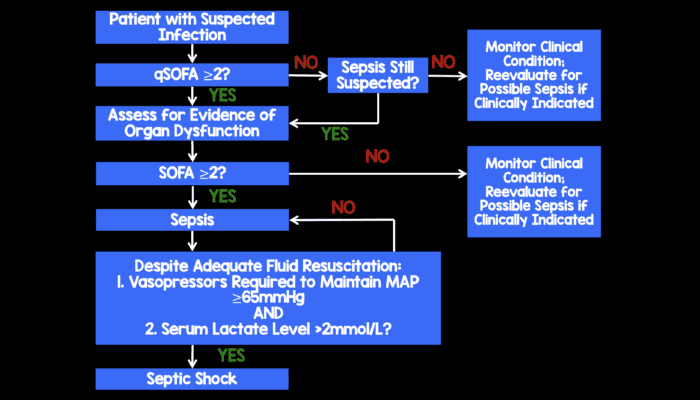 Sepsis 3 0 Rebel Em Emergency Medicine Blog