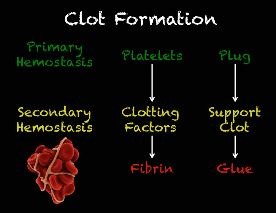 Clot Formation - REBEL EM - Emergency Medicine Blog