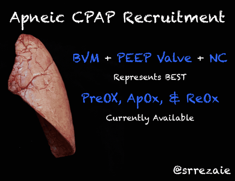 R.E.B.E.L. EM - Is Apneic Oxygenation Overhyped? with Scott Weingart ...