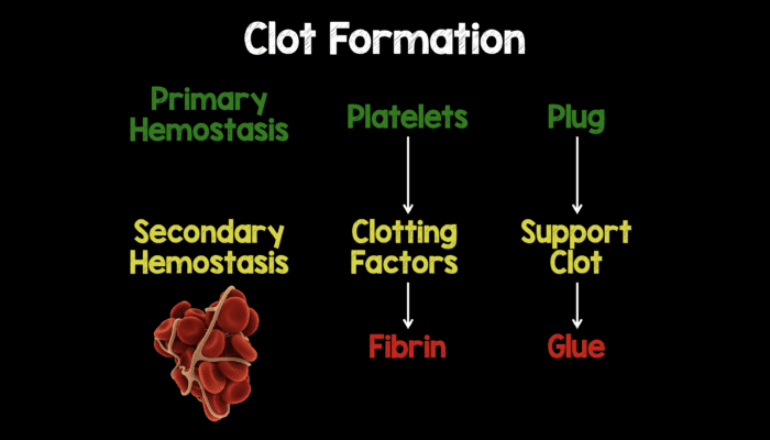 Clot Formation - REBEL EM - Emergency Medicine Blog