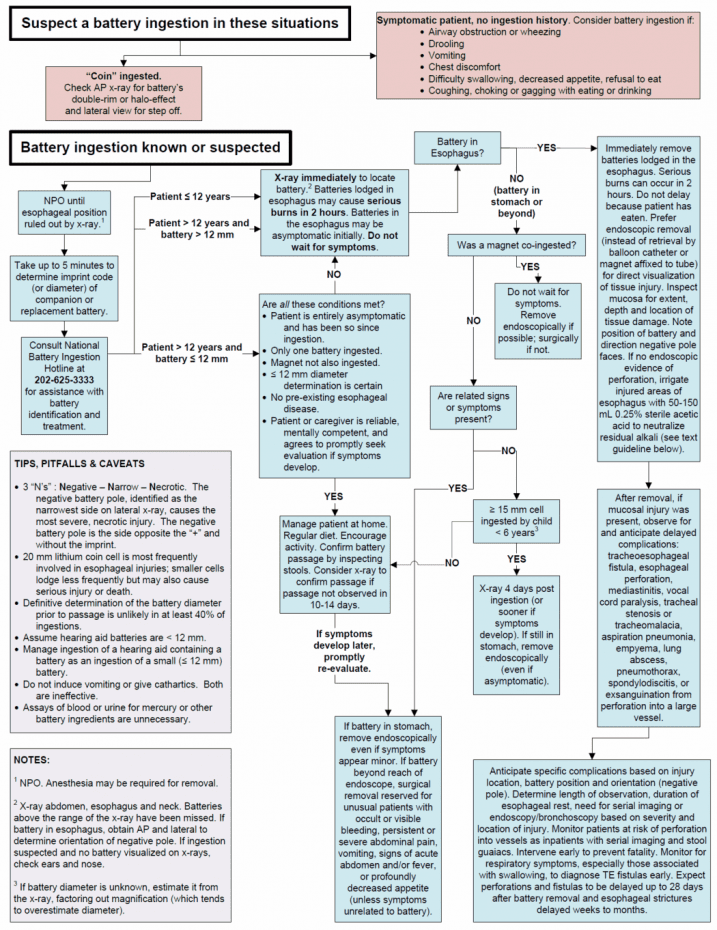 Button Battery Ingestion - REBEL EM - Emergency Medicine Blog