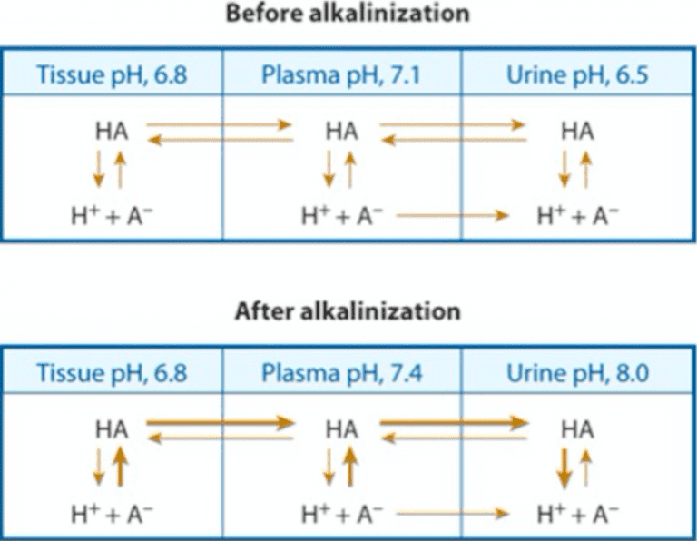 Alkalinization - REBEL EM - Emergency Medicine Blog