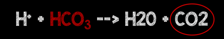 Sodium Bicarbonate in Cardiac Arrest Management - REBEL EM - Emergency ...