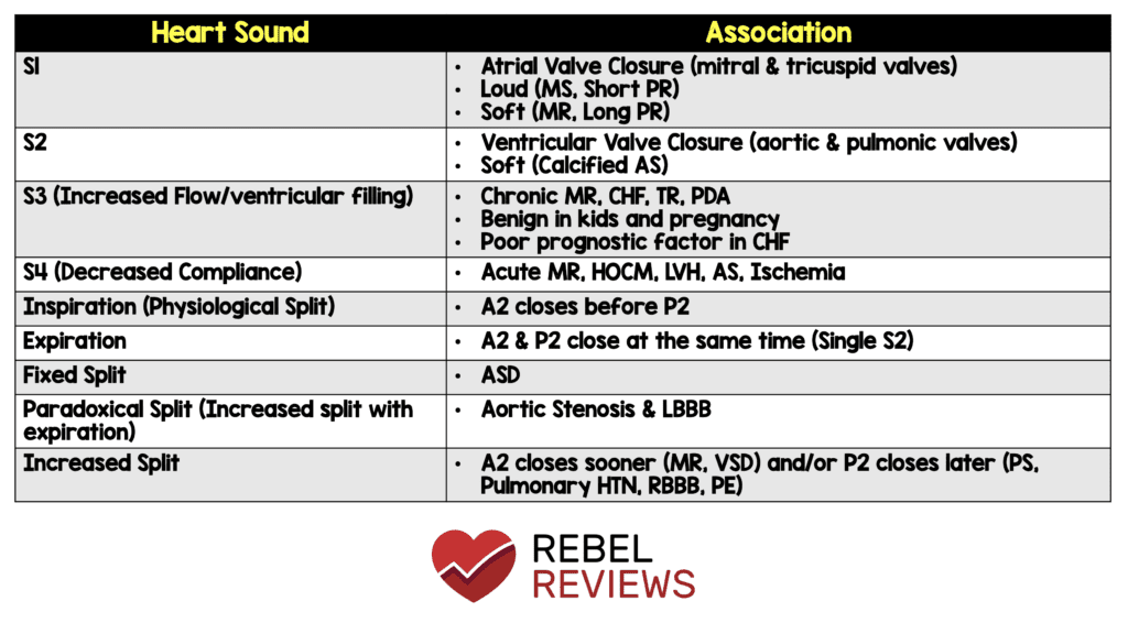 Heart Sounds - REBEL EM - Emergency Medicine Blog