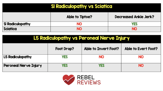 L5, S1, Sciatica, and Peroneal Nerve Injuries - REBEL EM - Emergency ...