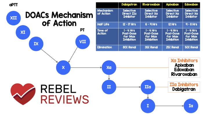 Mechanism of DOACs - REBEL EM - Emergency Medicine Blog