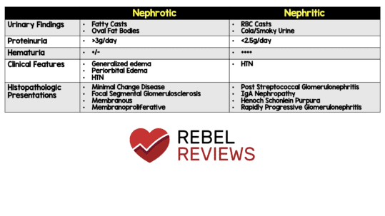 Nephrotic vs Nephritic Syndromes - REBEL EM - Emergency Medicine Blog