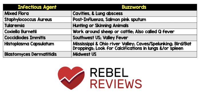 Pneumonia Buzzwords - Part 2 - REBEL EM - Emergency Medicine Blog