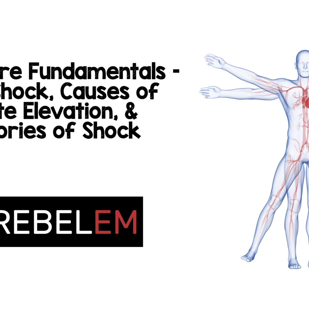 Critical Care Fundamentals: The Basics of Shock