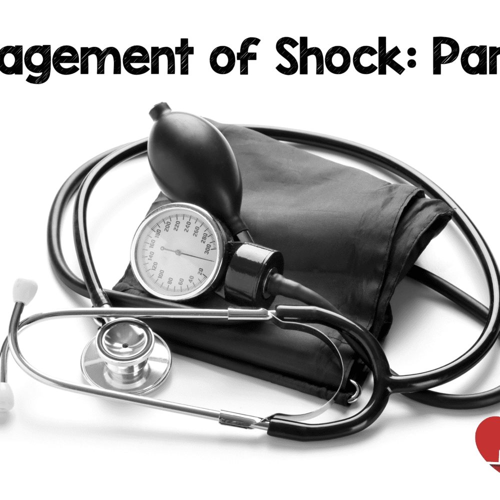 REBEL Crit Cast Ep 0.0 – The Intro