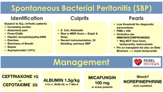 SBP - REBEL EM - Emergency Medicine Blog