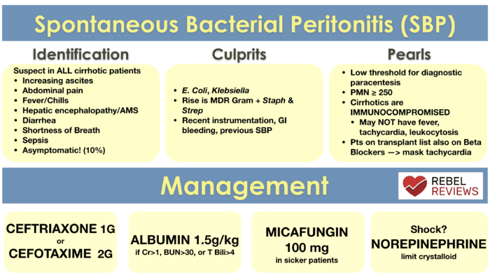 SBP - REBEL EM - Emergency Medicine Blog