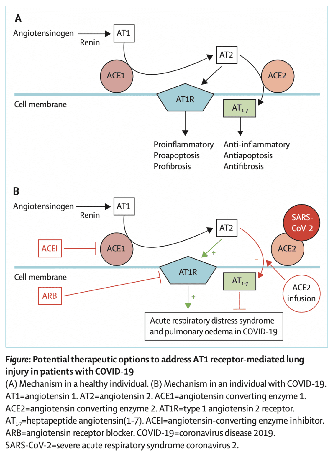 COVID-19: Clinical/Therapeutic Staging Proposal and Treatment - REBEL ...