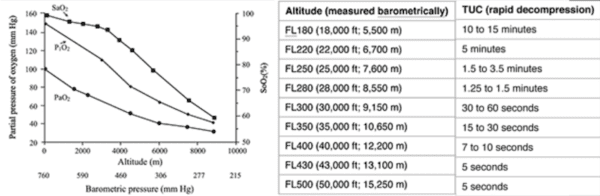 REBEL Cast Ep80: A New War Plan for COVID-19 with Richard Levitan ...