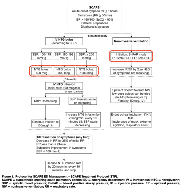 I Love Me Some High-Dose NTG and NIV for SCAPE - REBEL EM - Emergency ...