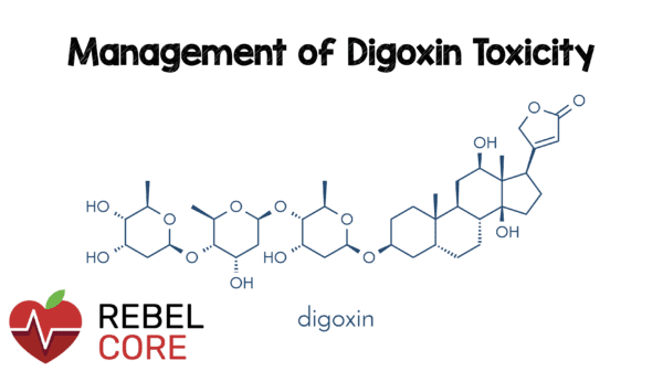 Management of Digoxin Toxicity - REBEL EM - Emergency Medicine Blog