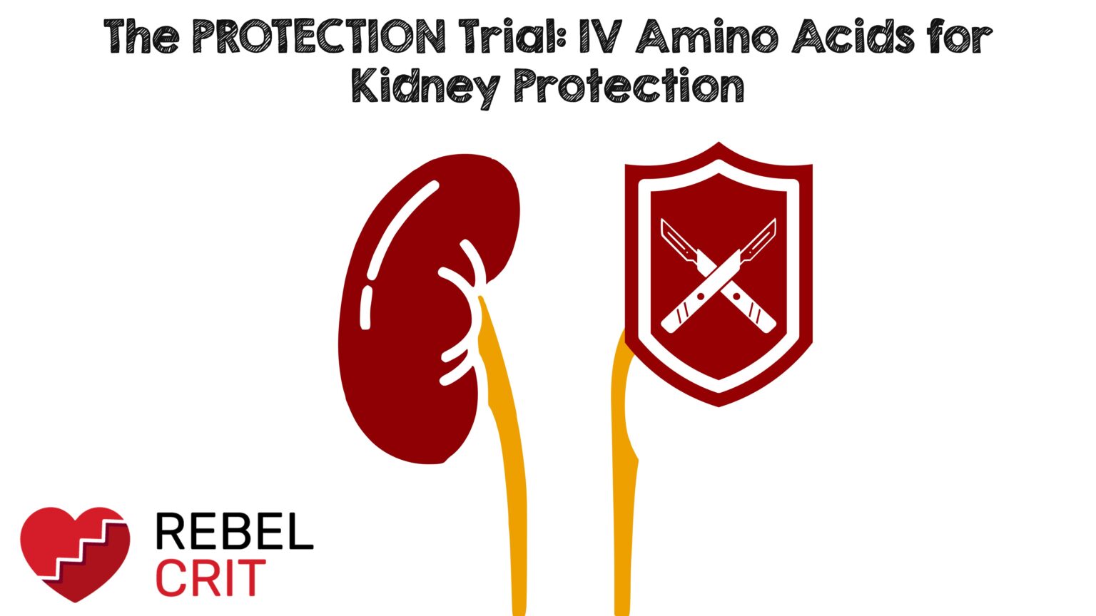 The PROTECTION Trial - A Randomized Trial of Intravenous Amino Acids ...