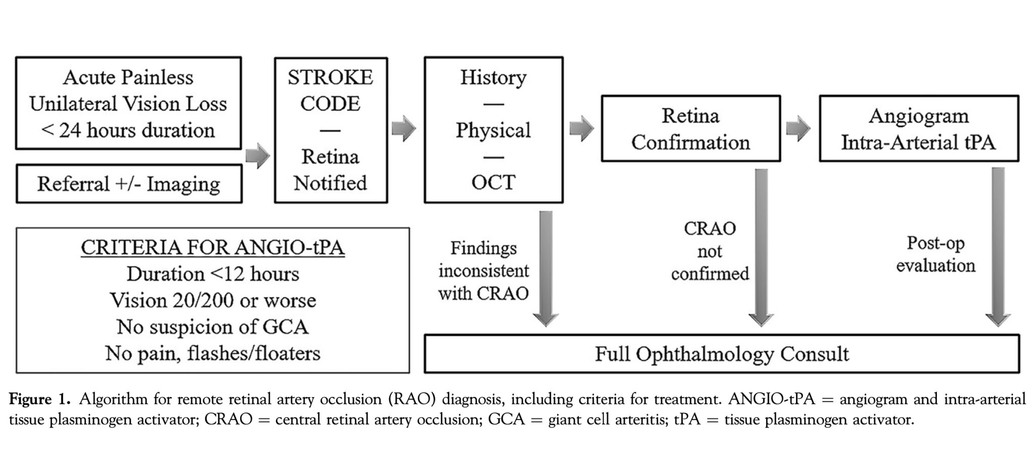 Remote Consult Protocols for Retinal Artery Occlusion: A Visionary ...